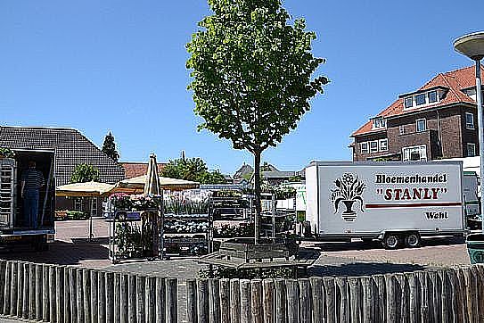 Weekmarkt Giesbeek in Giesbeek - In de Liemers.nl